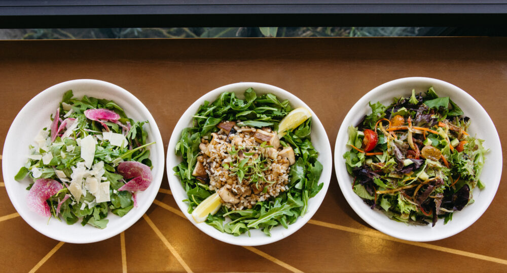 Hotel Erwin | Venice Beach Hotel | Rooftop Bar & Ocean Views